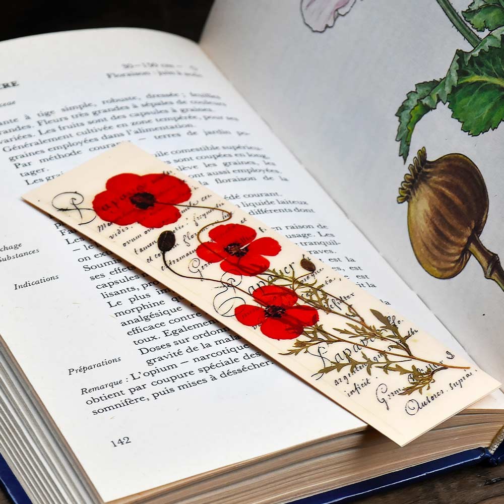 📖 Marque page originaux et pratiques | Trouvez le vôtre